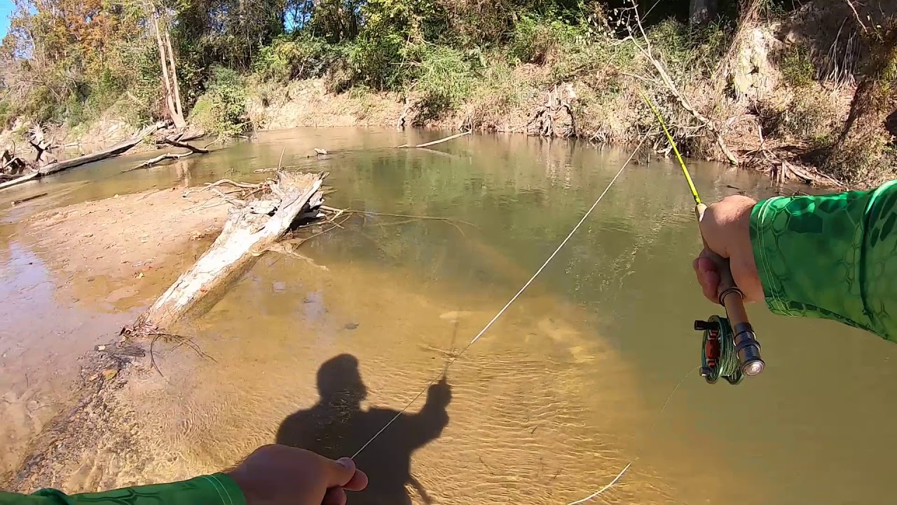 Comite River Creek - YouTube