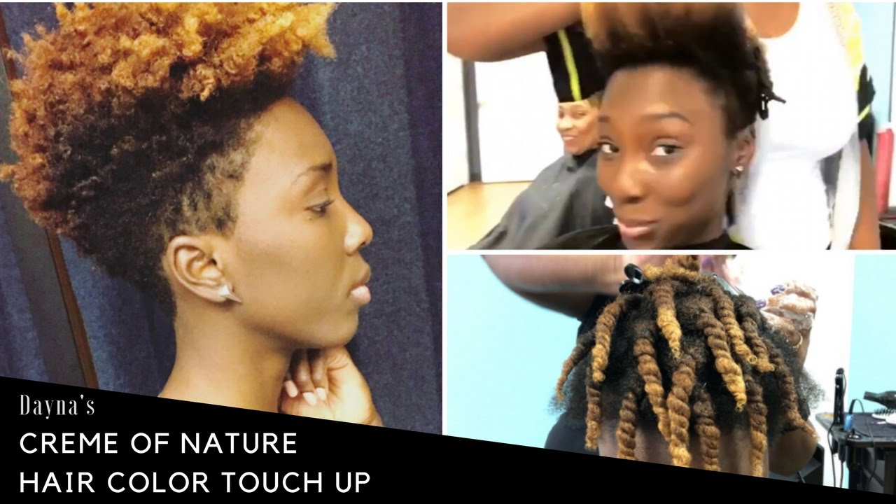 Dayna's Creme Of Nature Hair Color Touch Up - YouTube