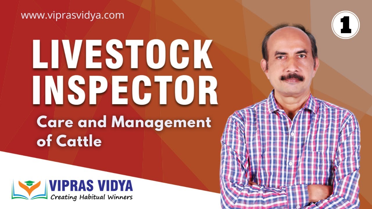 Care and Management of Cattle PART 1 Livestock Inspector Exam - YouTube