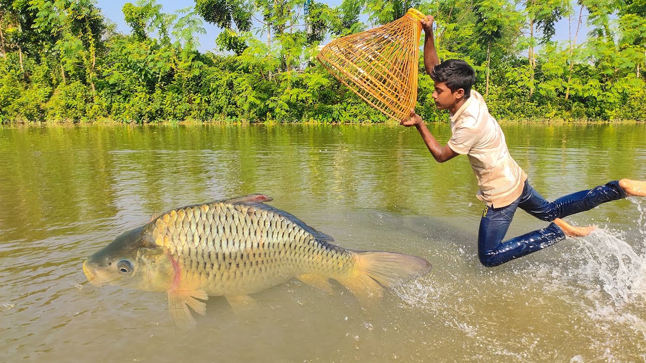Little Boys Catch Fish With Bamboo Tools Polo Trap In bill Water।Super ...