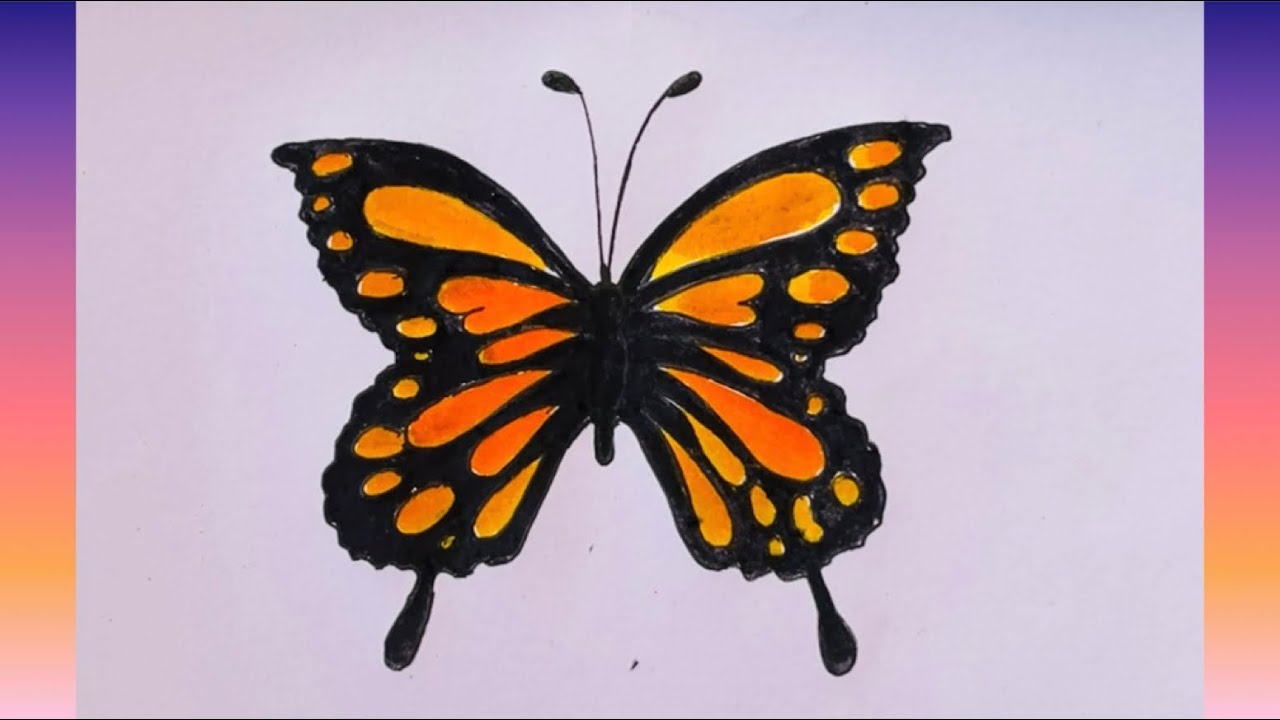 Butterfly drawing 🦋 Easy butterfly drawing step by step || how to draw ...