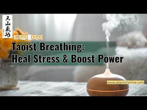 Taoist Breathing: Heal Stress & Boost Power - Qi Gong w Adam Chan Epi 83