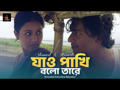 Jao Pakhi Bolo Tare (Slowed+Riverb) Monpura Movie Song | Lofi Karigor 