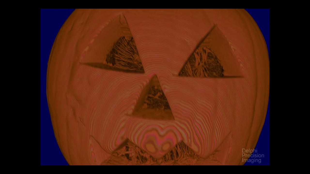 Jack Says Hello (1080) - YouTube