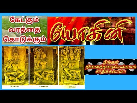 அற்புத பலன்களை தரும் 64 யோகினிகள்| நீங்கள் கேட்டதை கொடுக்கும் அஷ்ட யோகினிகளை பற்றி அறிய தகவல்கள்