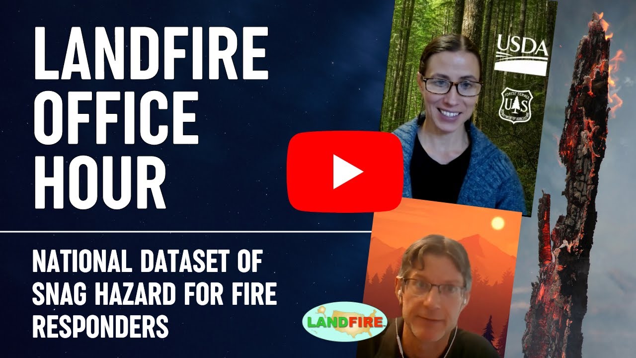 National Dataset of Snag Hazard for Fire Responders & Risk Management ...