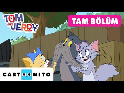 TOM VE JERRY ŞOV | Bıyıkların Efendisi | TAM BÖLÜM | @CartoonitoTurkiye