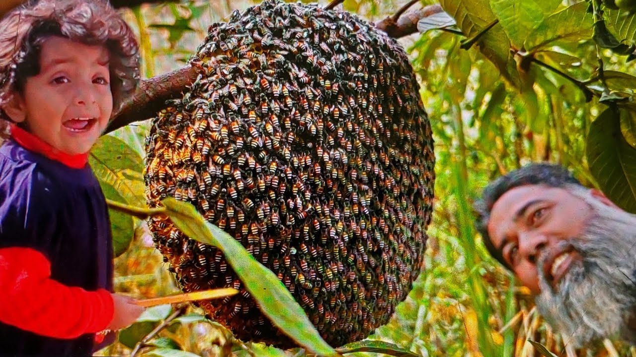 Honey Bee my friend's Wajeha Fatimah 🙋‍♀️🪰🪰 - YouTube