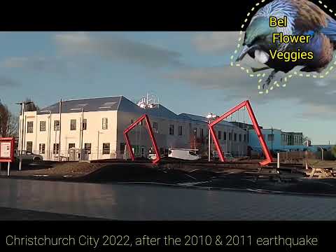 a glimpse of Christchurch City #newbuildings #newcity #newzealand #4k | Bel Flower Veggies