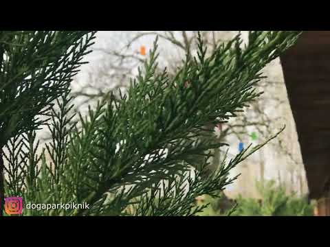 DOĞA PARK PİKNİK TANITIM FİLMİ