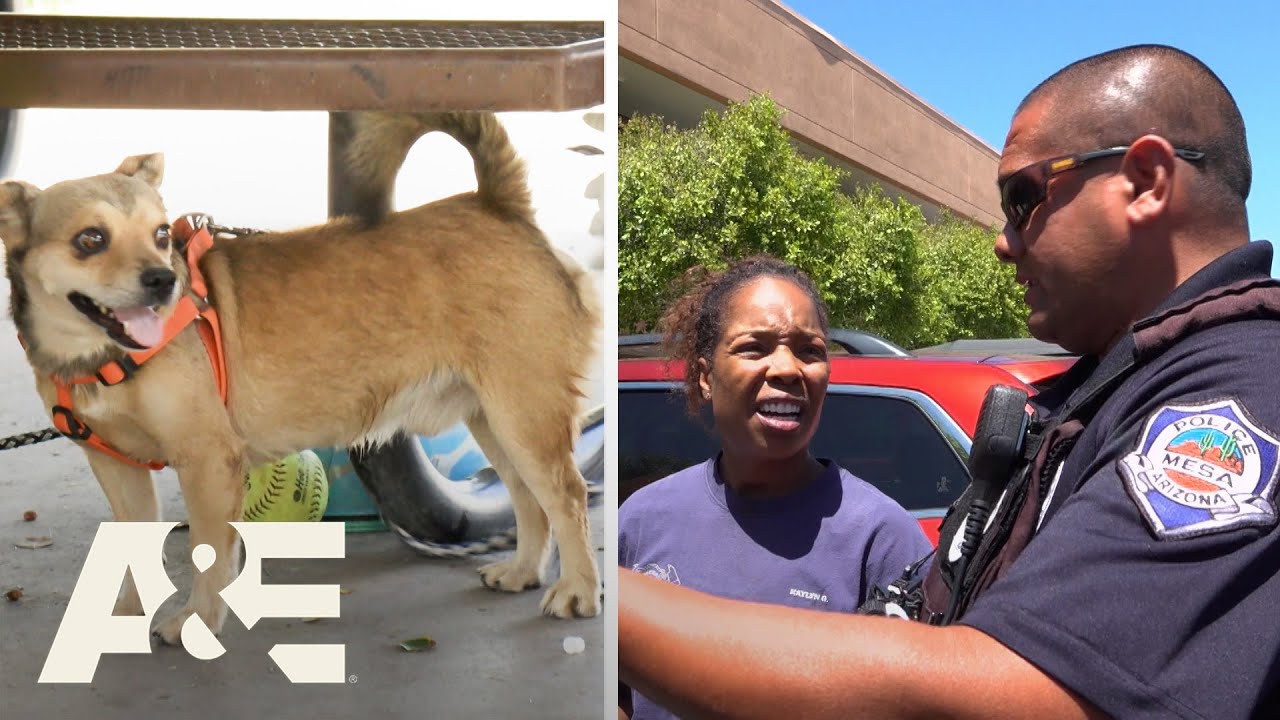 Live Rescue: Most Viewed Moments of 2023 (Part 1) | A&E - YouTube