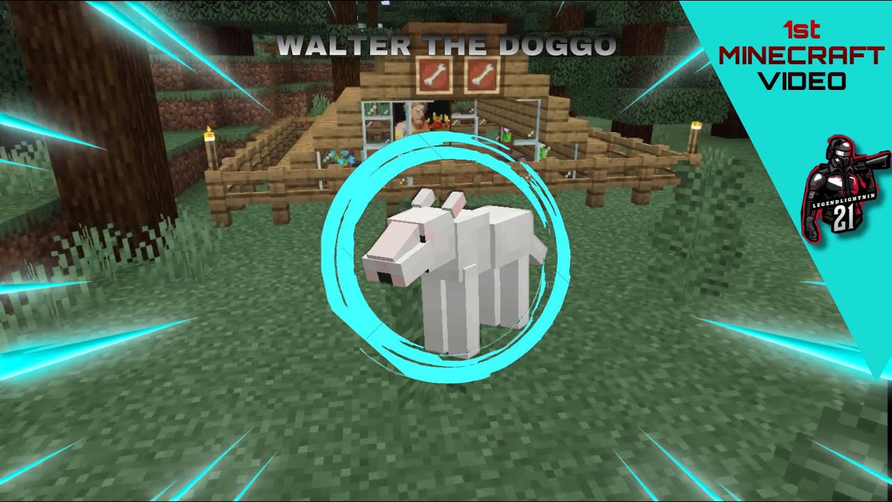 Walter The Doggo- 1st Minecraft Video!!!!!!! - YouTube