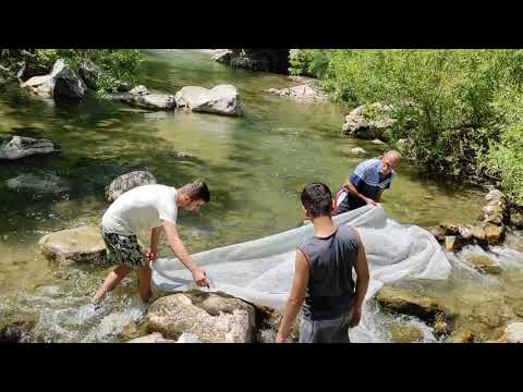 Doğada Balık avı