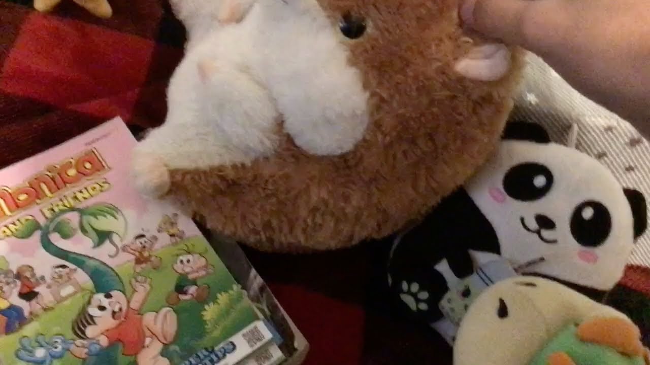 WMP: Ham Kid’s birthday - YouTube