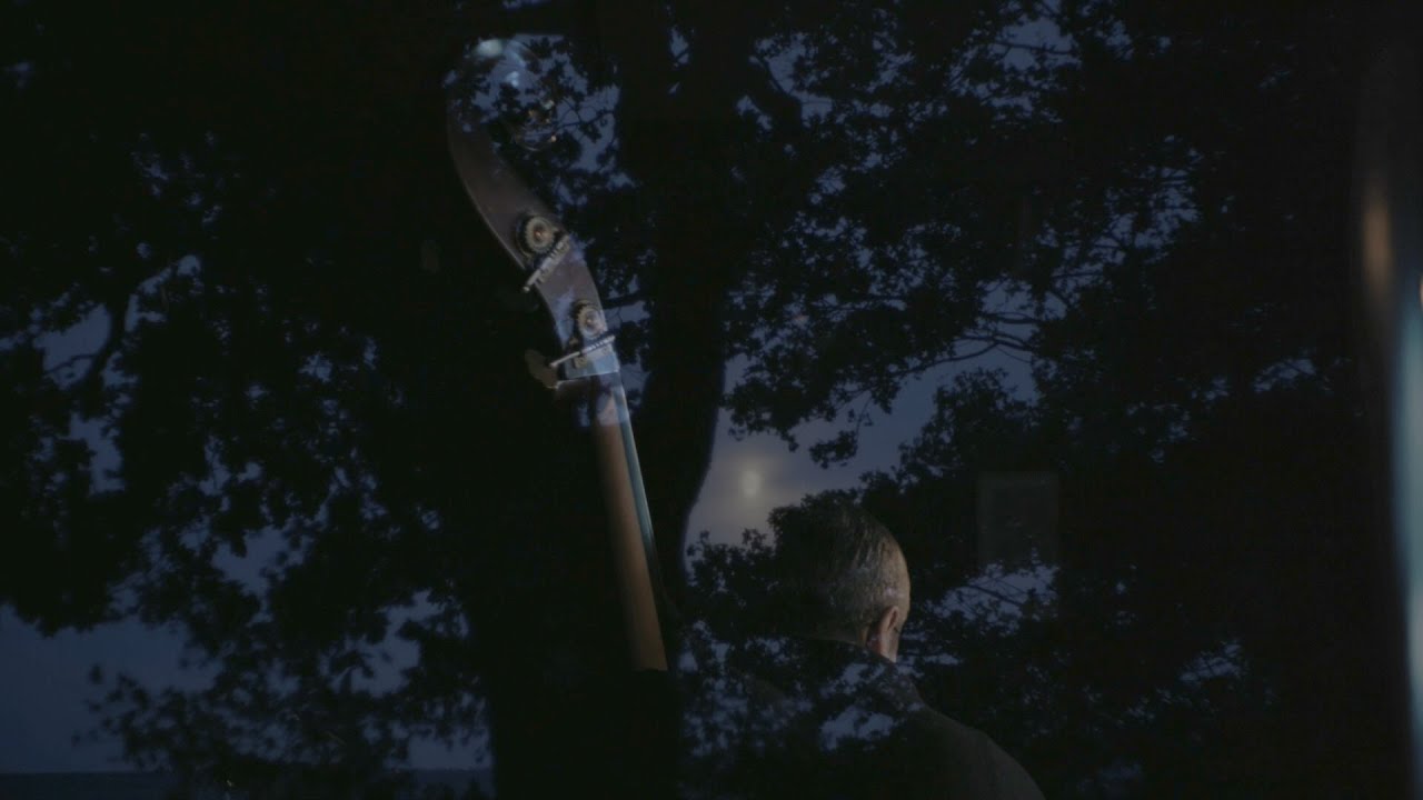 Thomas Morgan – Around You Is A Forest | Eigentijds | Written in Music
