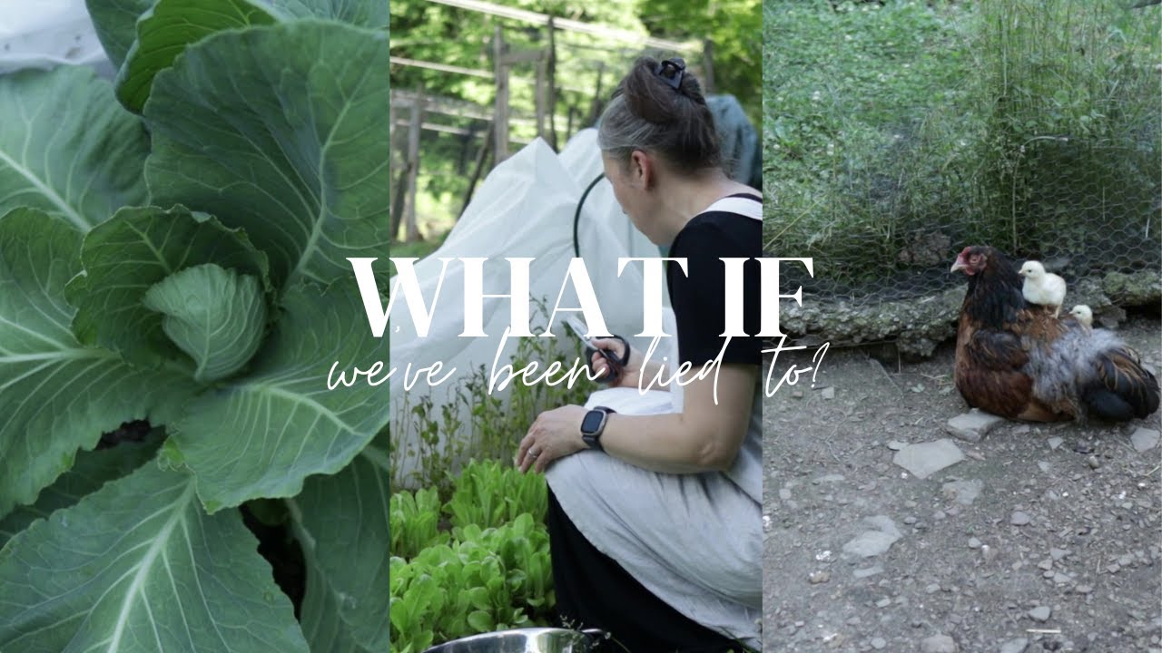 What if we've been lied to? - YouTube