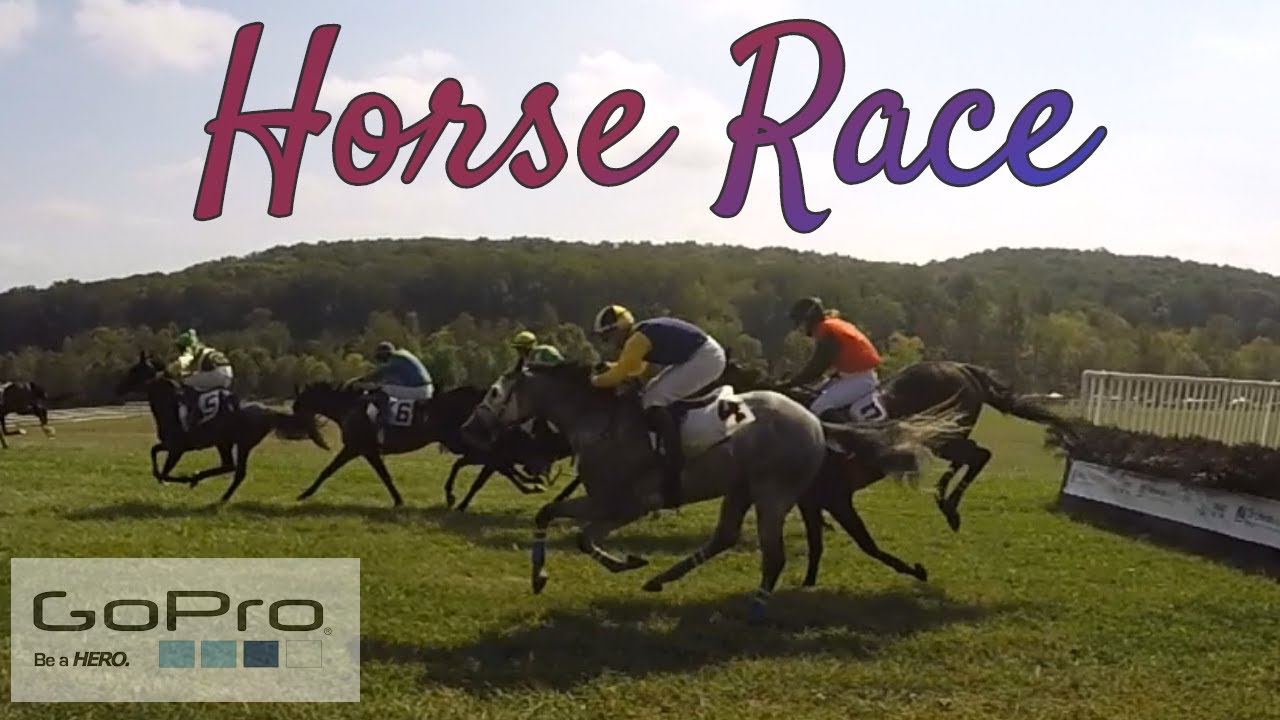 steeplechase horse race - GoPro Horse Racing - GoPro Kids videos - YouTube