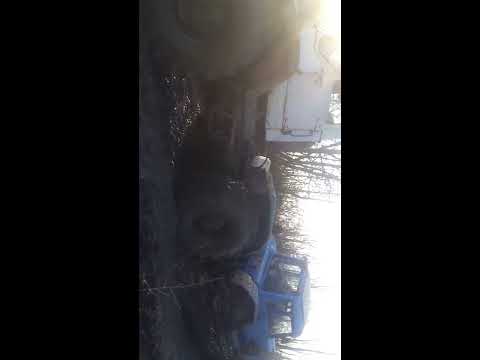 MTZ 80 MENTÉSE T-150-el