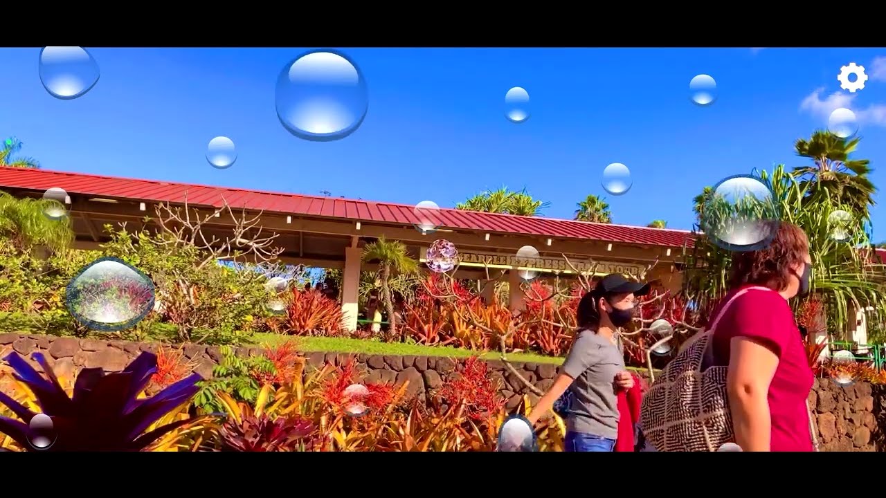 Dole Plantation / Pineappie/ Wahiawa, Oahu Hawaii/Pineapple Express ...