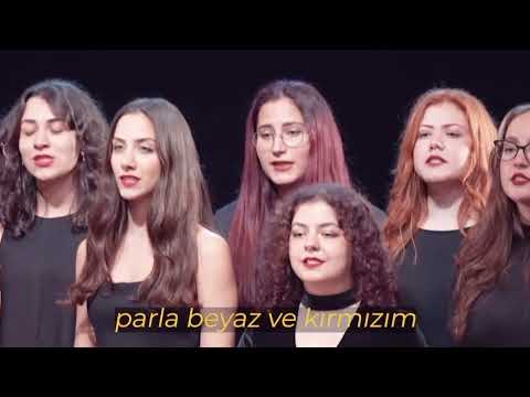 Norm Ender - Parla