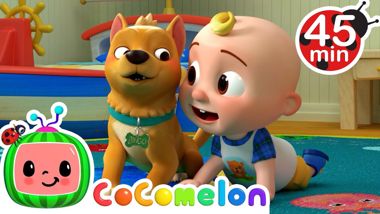 Taking Care of Pets | 45 MIN COMPILATION | CoComelon - Nursery Rhymes ...