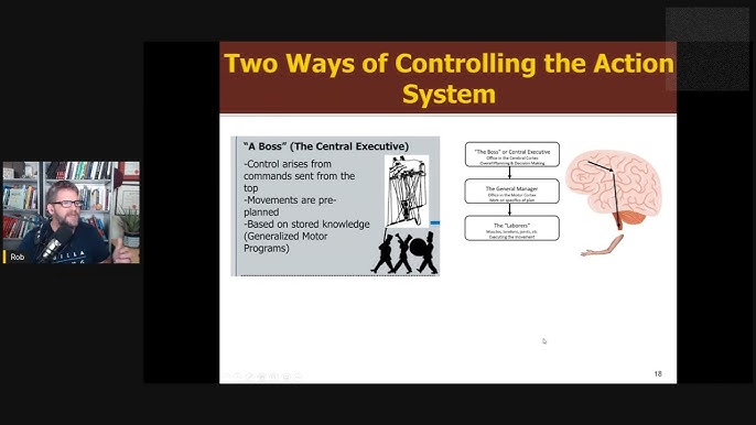 rasieren des Weiteren Regal generalized motor program Katastrophe ...