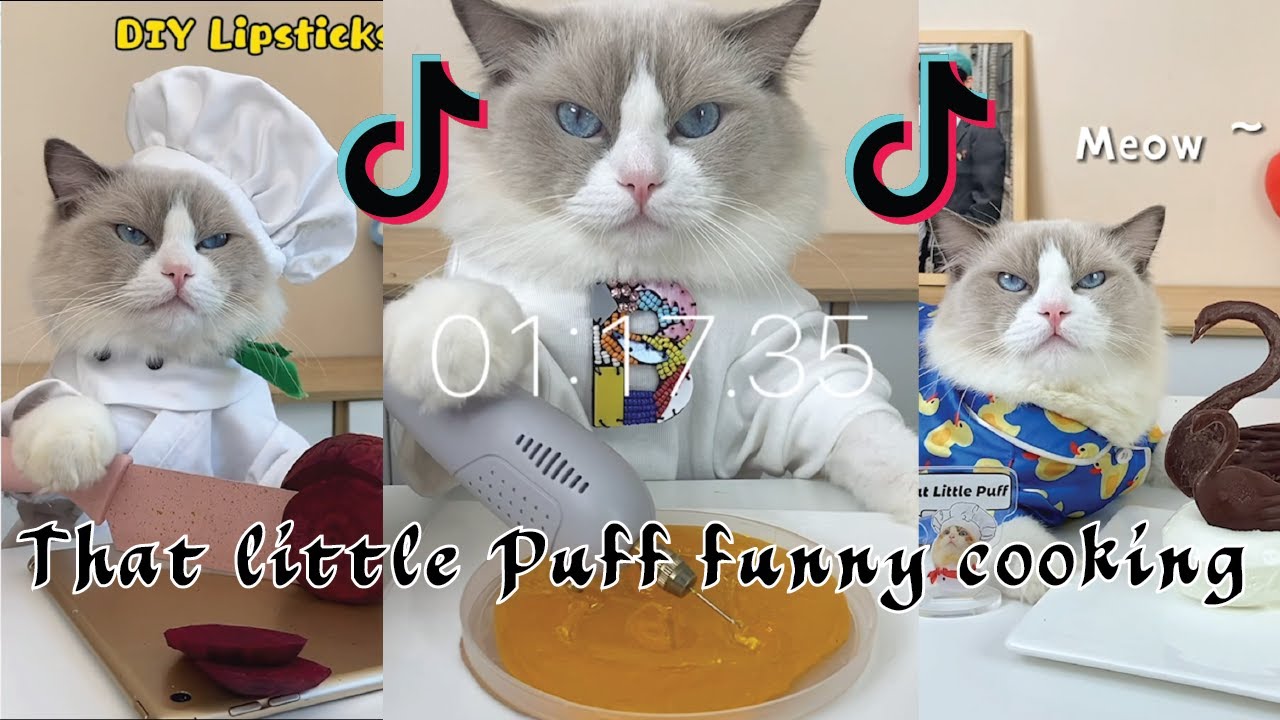 That little Puff funny cooking fails 🤣 | Puff Ruin It | That Little ...