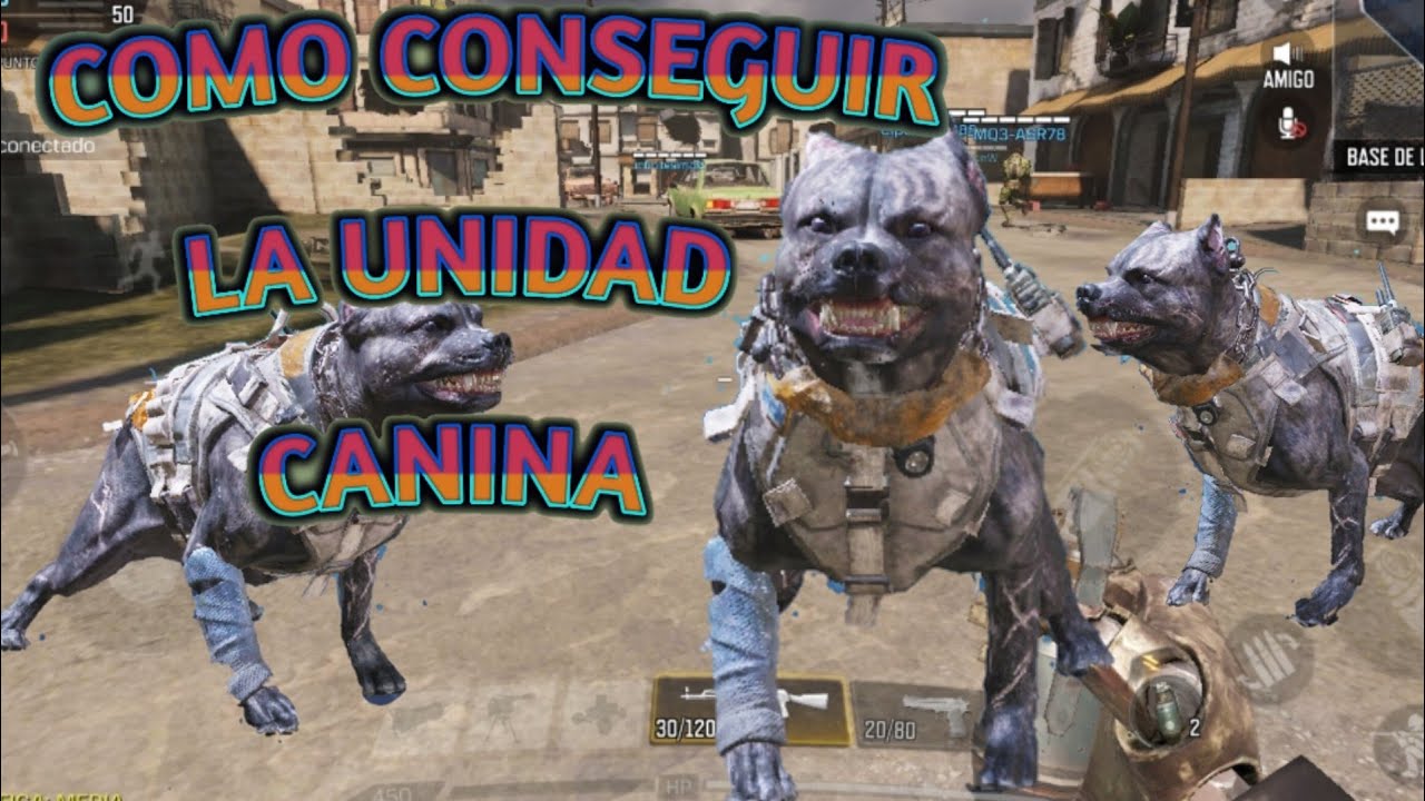 COMO CONSEGUIR LA UNIDAD CANINA EN CALL OF DUTY MOBILE🐶 - YouTube