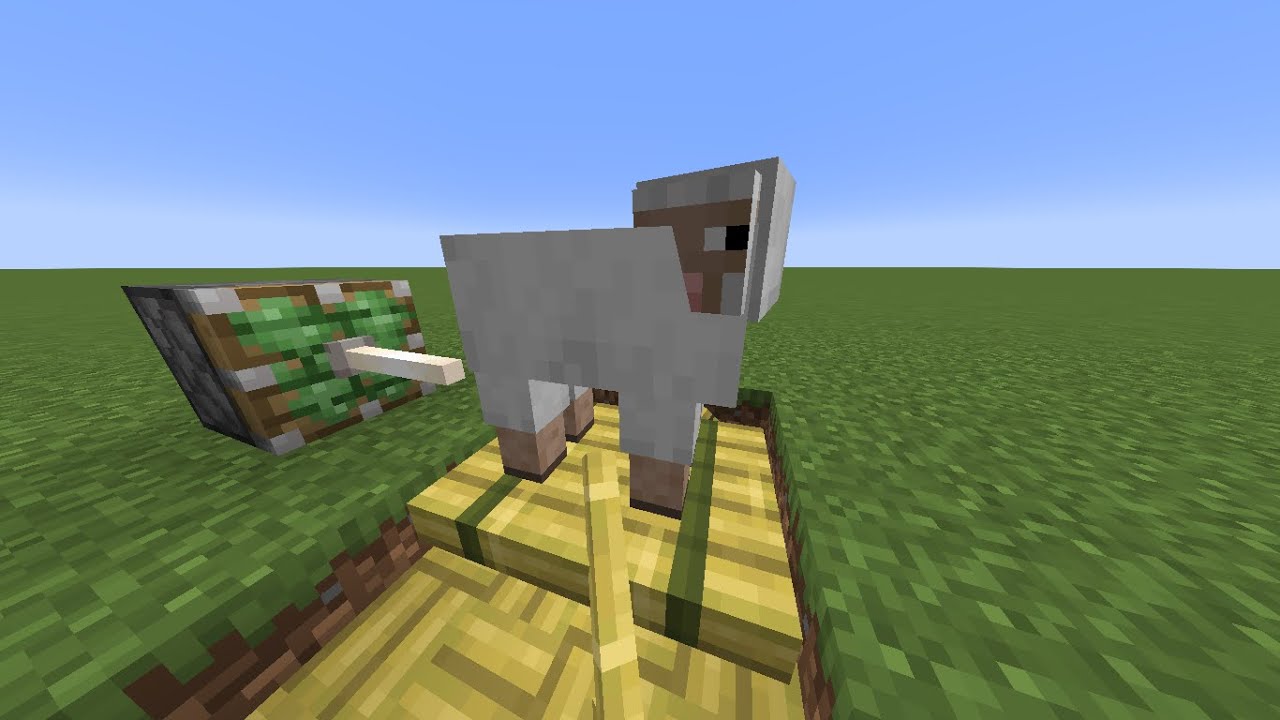 How to make a Sheep Fricker In Minecraft - YouTube