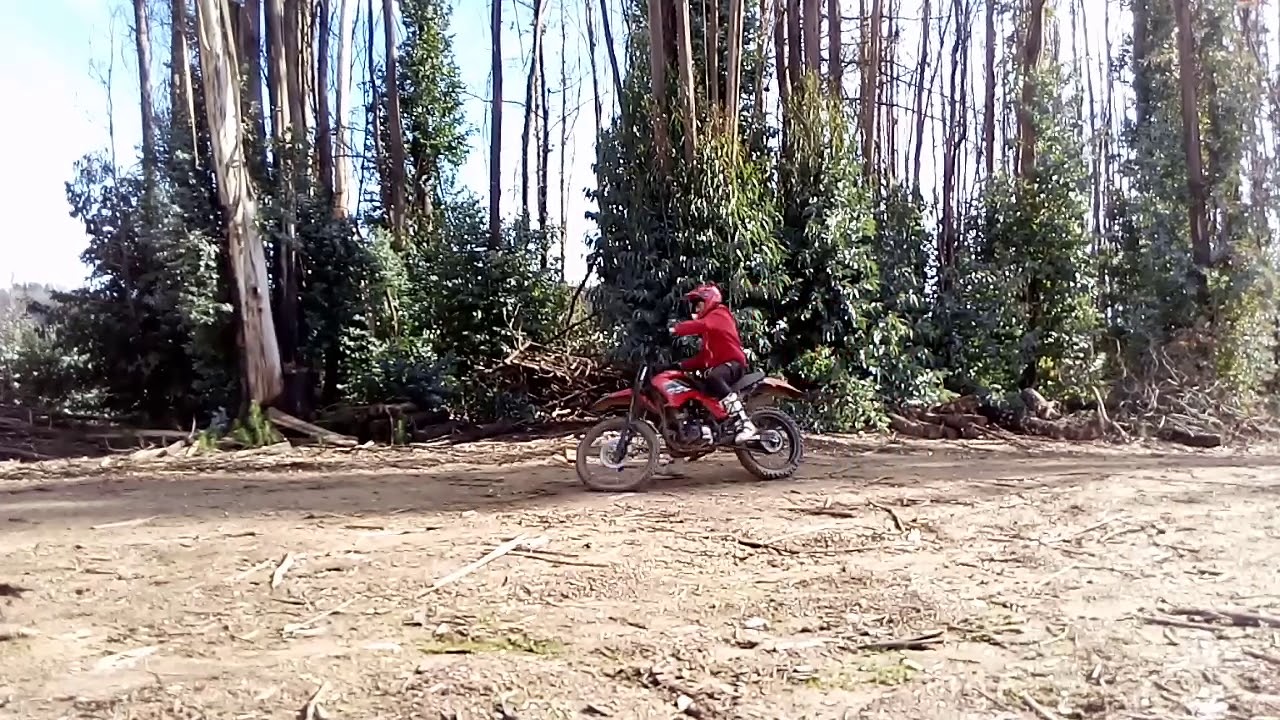 Um dsr 200 - YouTube