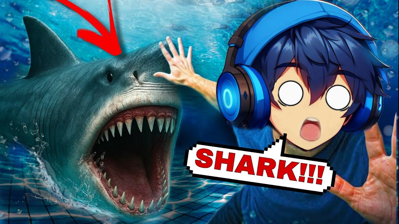 "SHARK?! In a SWIMMING POOL?! 😱| SHARKS AND MINNOWS - YouTube