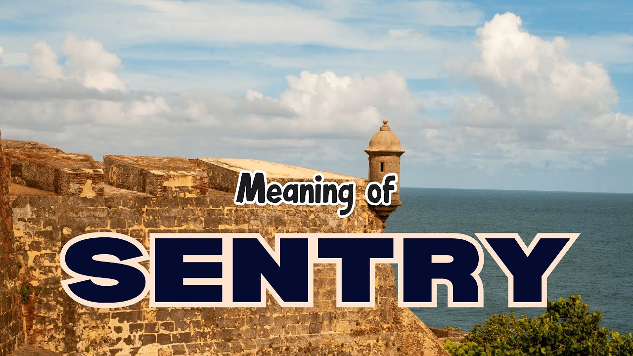 What is the meaning of Sentry? - YouTube