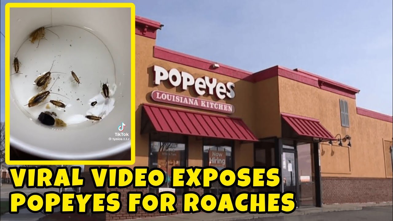 Viral Video EXPOSES POPEYES For ROACHES (Night & Day Network) - YouTube
