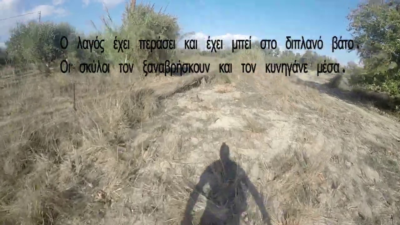 ΚΥΝΗΓΙ ΛΑΓΟΥ 2019-2020(ΤΟ ΜΕΓΑΛΟ ΛΑΓΟΝΙΚΟ) - HUNTING OF HARE IN CRETE ...