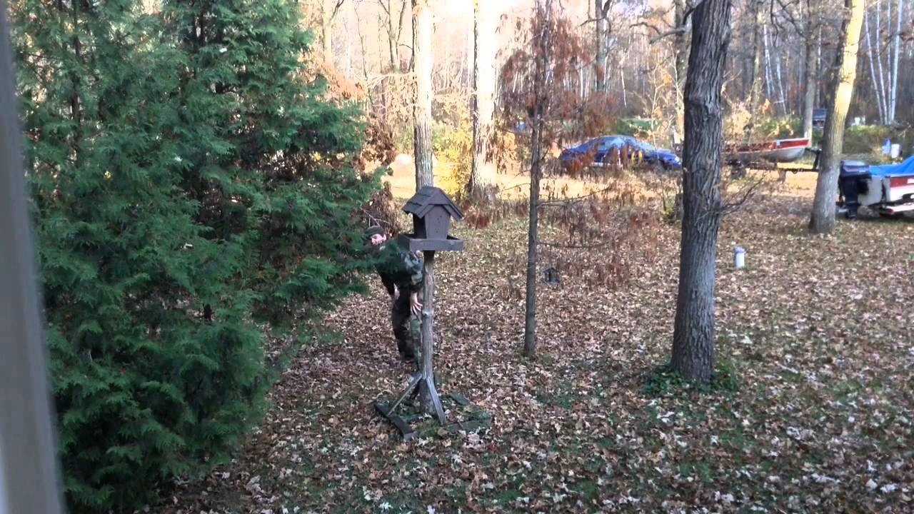 Stinky Dan re-uploaded - YouTube