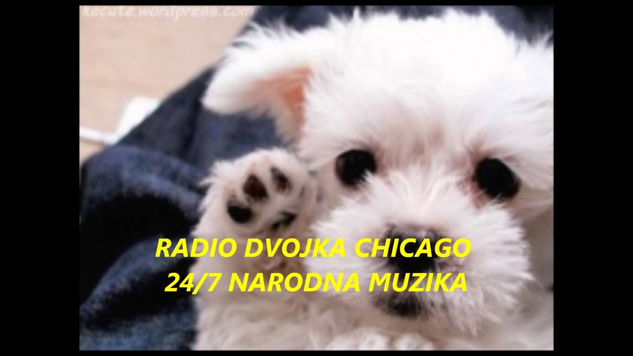 Mira Ilic Dodji da te udostim By Bosancica1 - YouTube