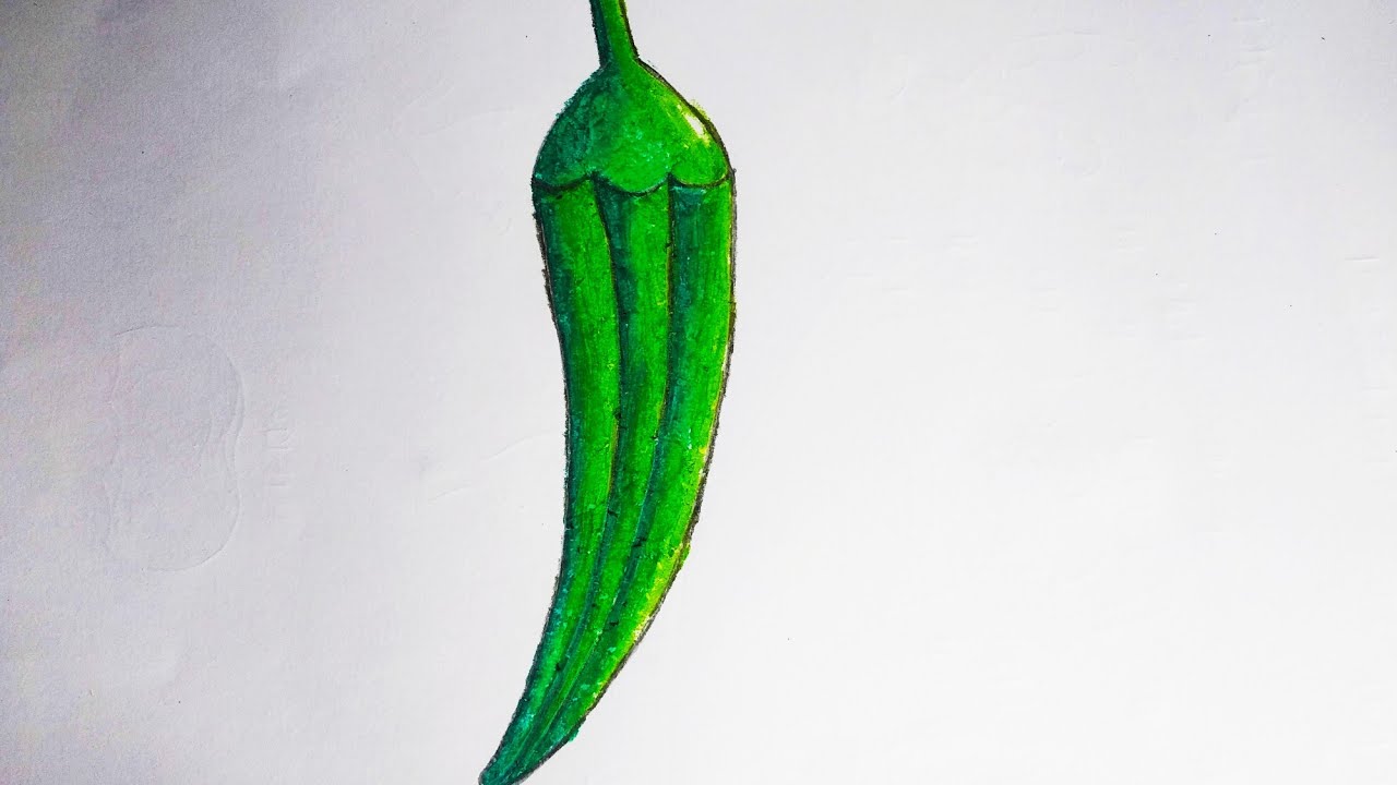 How to draw a Ladies finger draw and colour Step by Step ART GALLERY ...