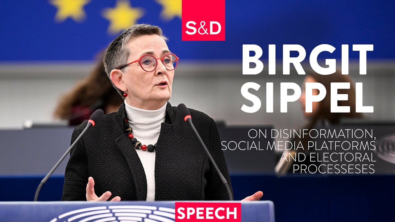Birgit SIPPEL - on disinformation, social media platforms and electoral processes - YouTube
