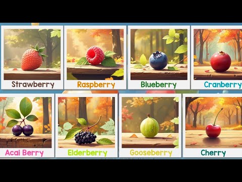 Types of Berries // Flashcards for Kids // Berry Names in English for ...