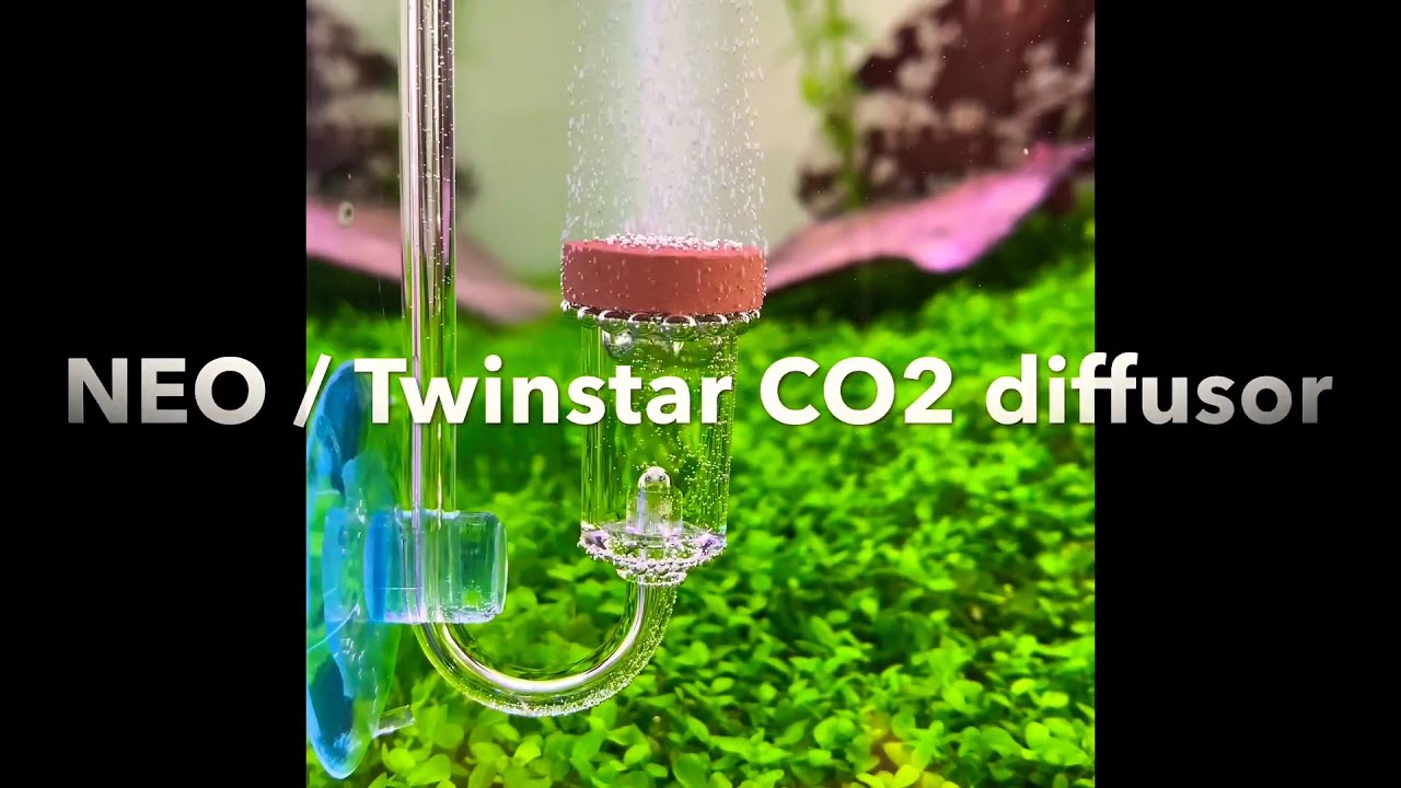NEO / Twinstar CO2 diffusor - YouTube