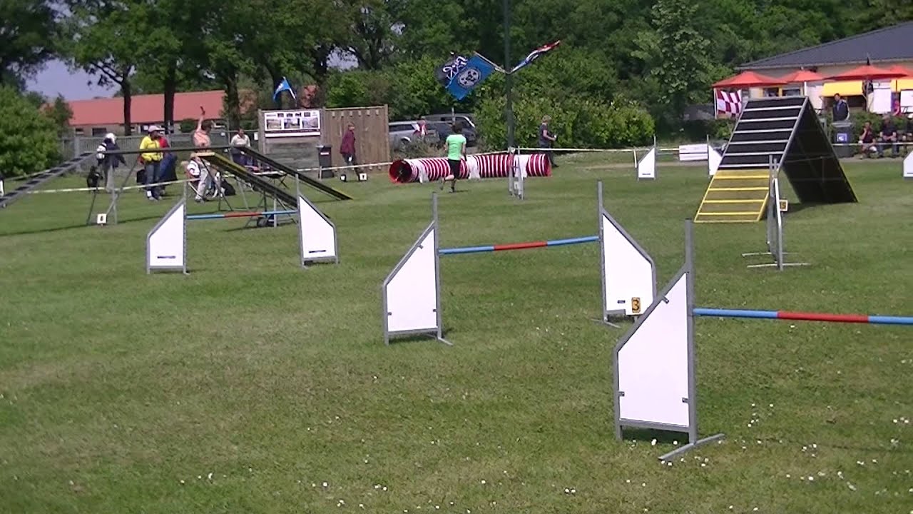 Agility run (VP)9-6-13 Alyx(fastest time 31.74 sec) - YouTube