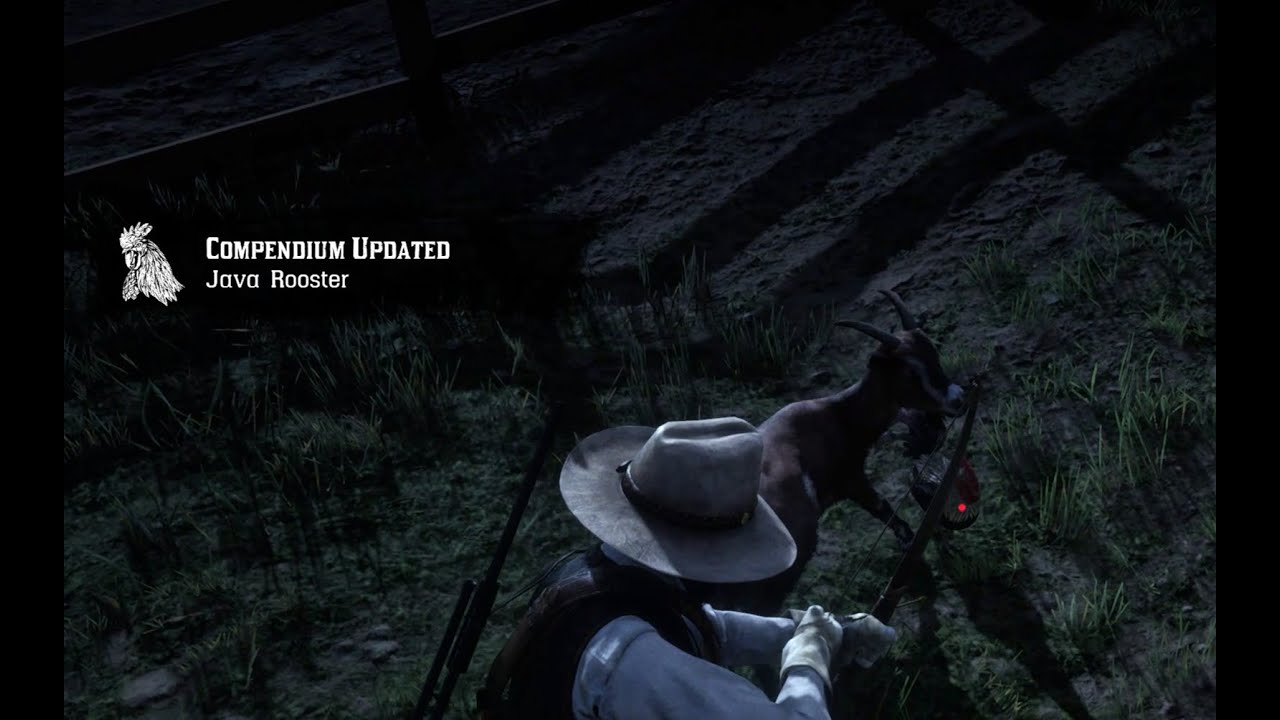Java Rooster Location [Red Dead Redemption 2] - YouTube