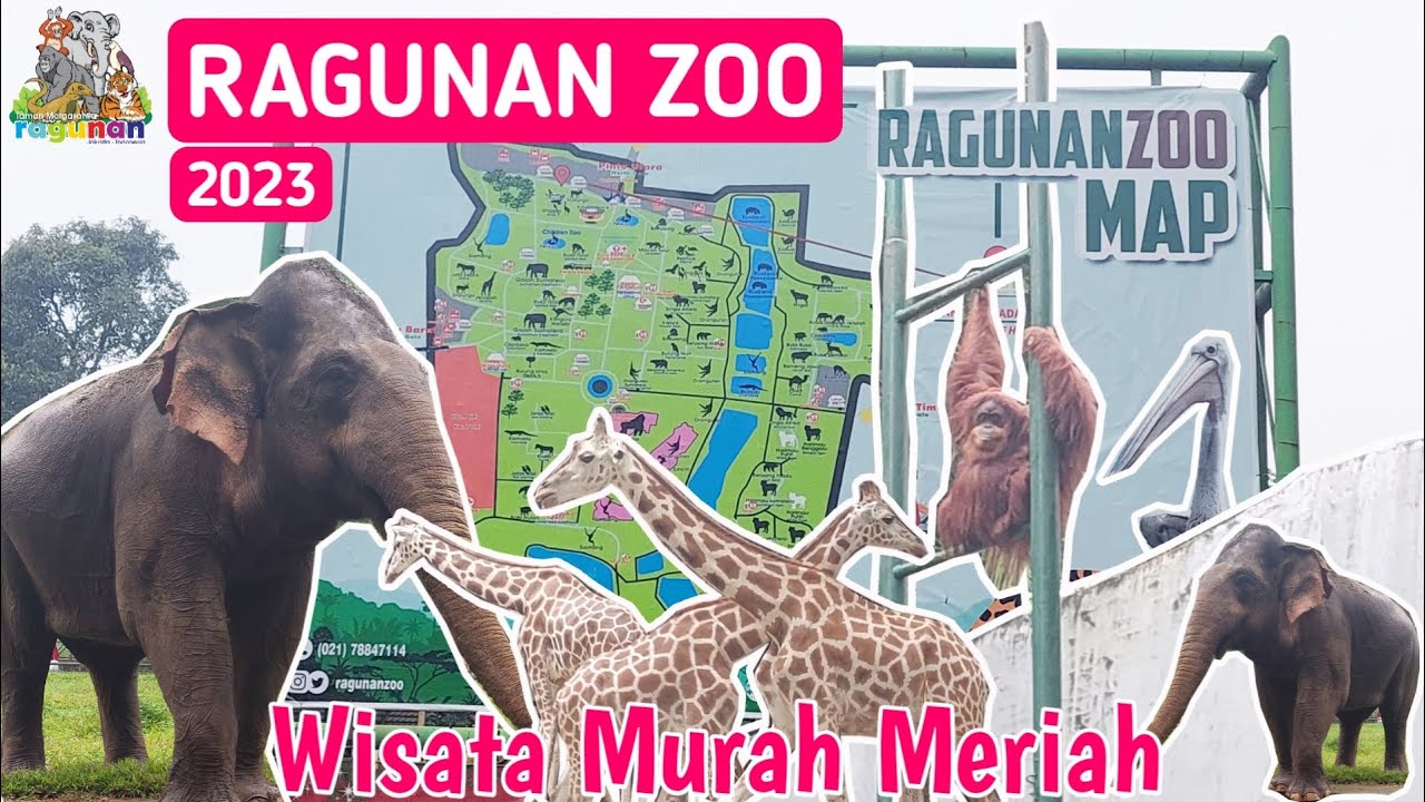 WISATA KEBUN BINATANG RAGUNAN 2023 TERBARU | WAJIB DIKUNJUNGI Wisata ...