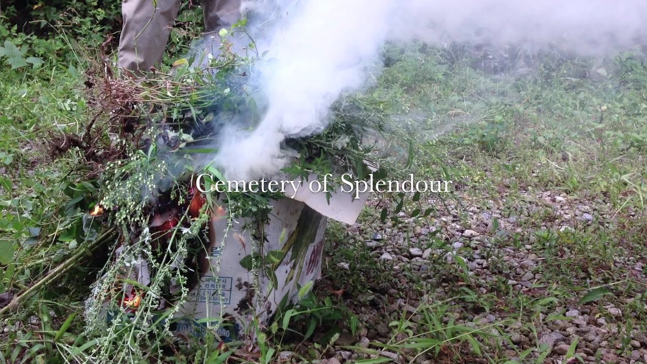 Cemetery of Splendour (home video) - YouTube