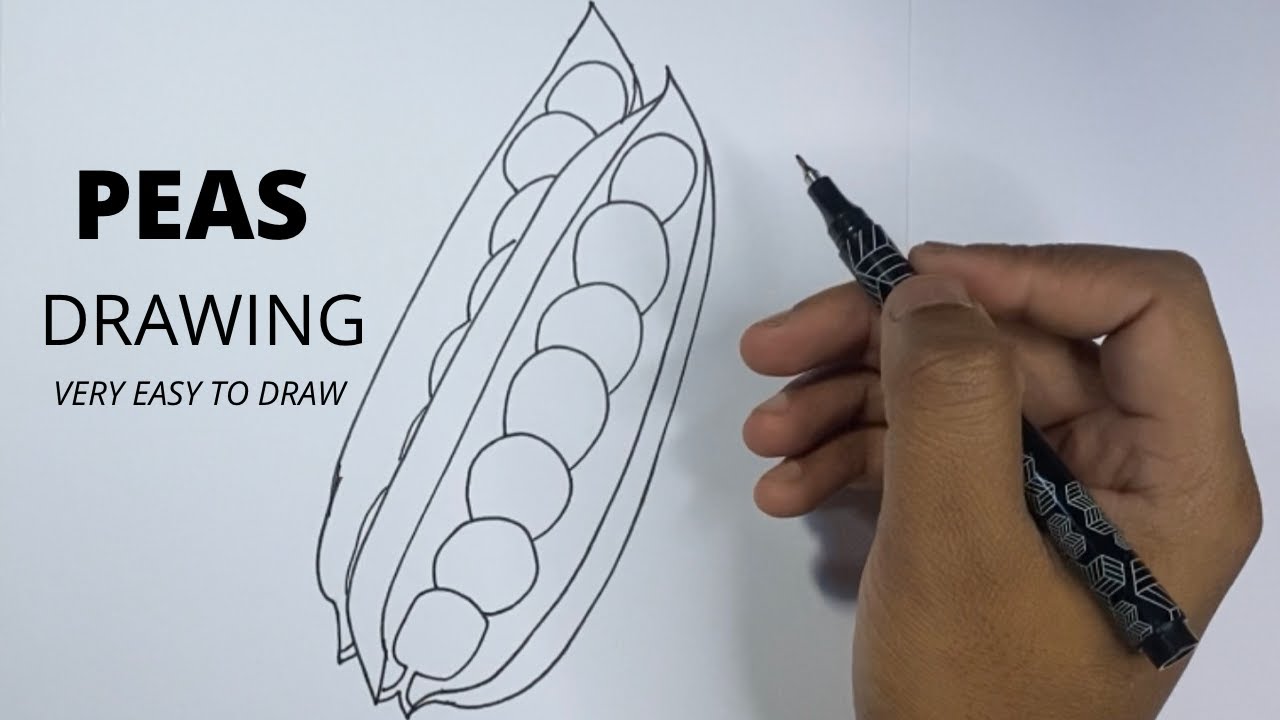 How to draw a peas | Step by step || #pea #peavegetable #food - YouTube