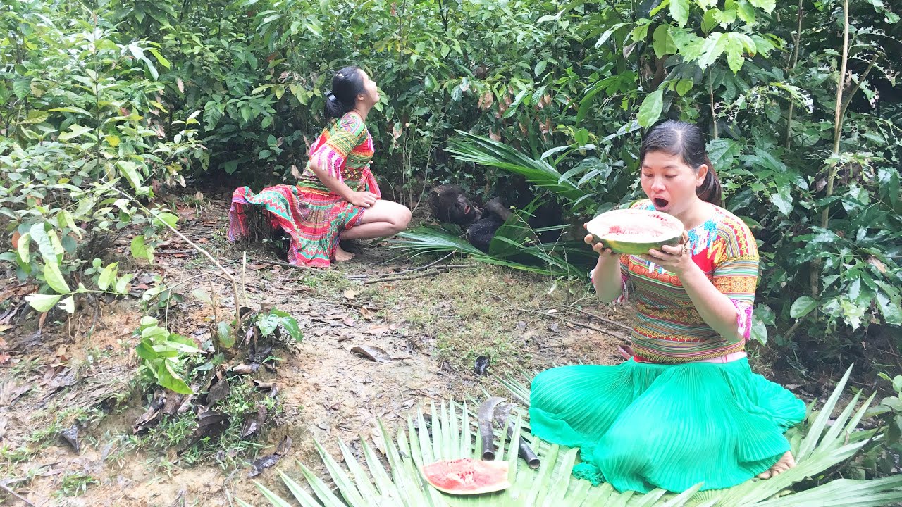 Primitive Survival - The Primitive Girl Rescued The Hungry Forest ...