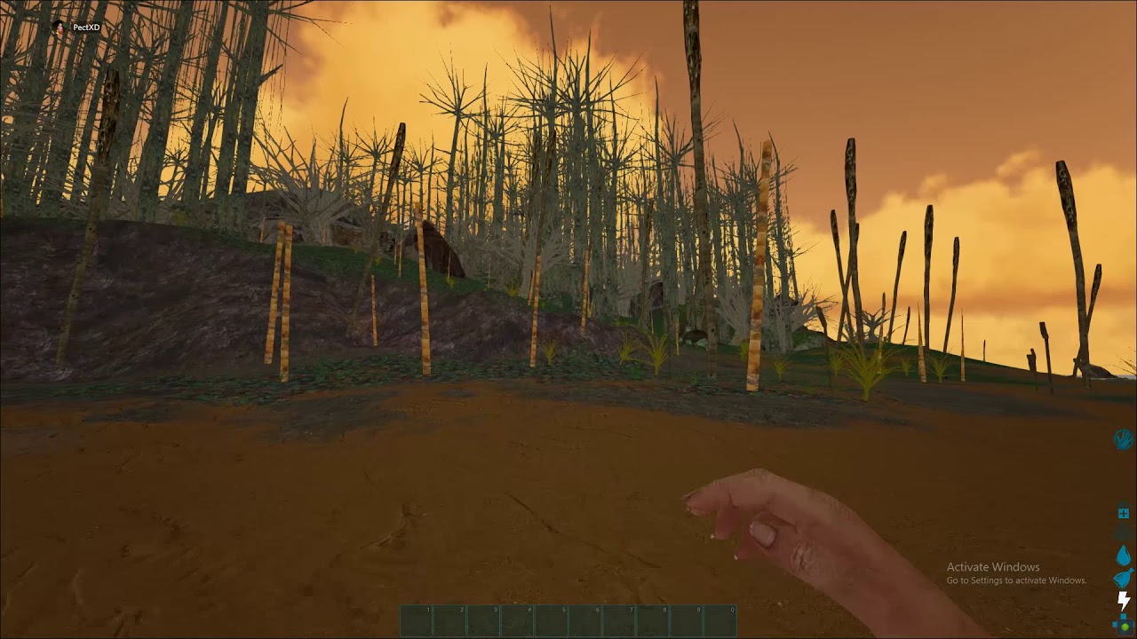 Ark Survival Evolved : File ini 2021 - YouTube