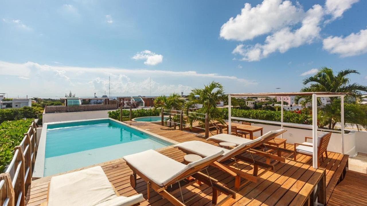 Papaya Plus, Playa del Carmen, Mexico - YouTube