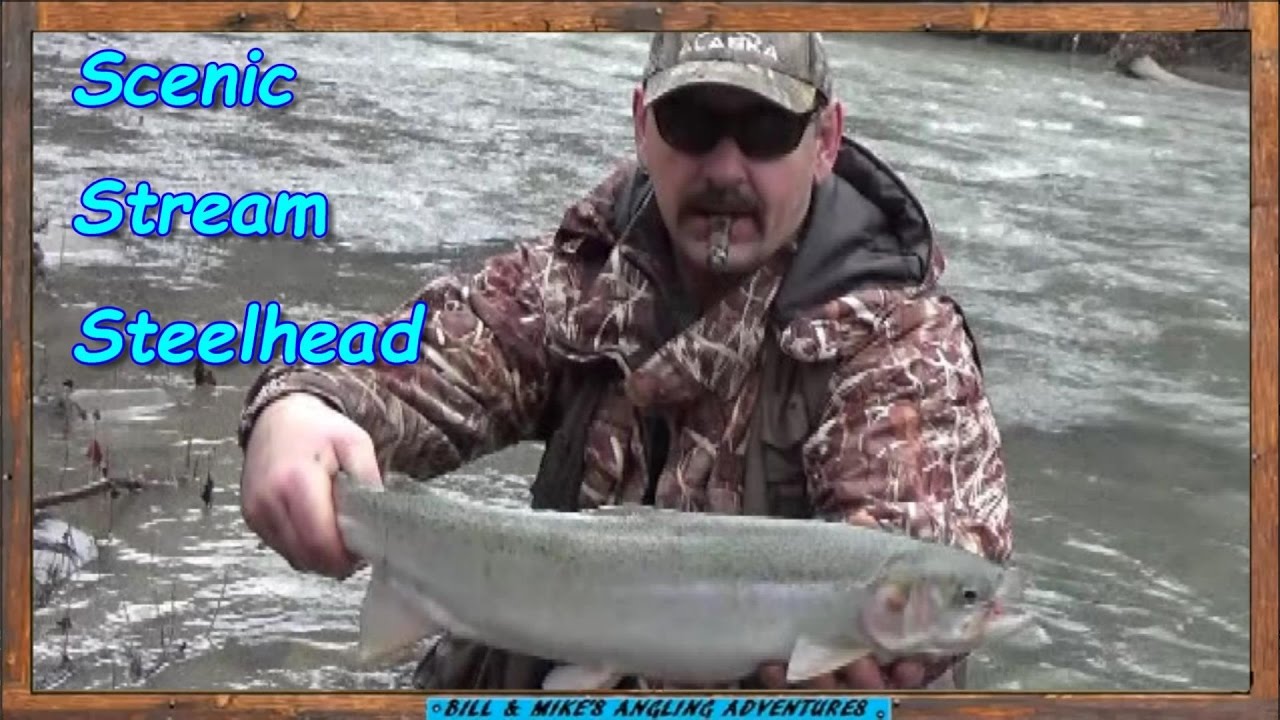 Scenic Small Stream fishing Winter Steelhead - YouTube