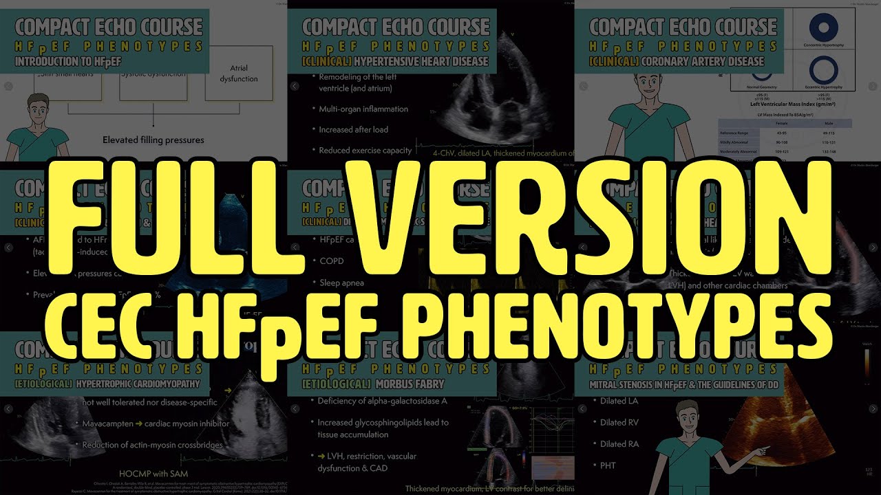 〖Echocardiography〗 Clinical phenotypes of HFpEF (full version) 💖 - YouTube